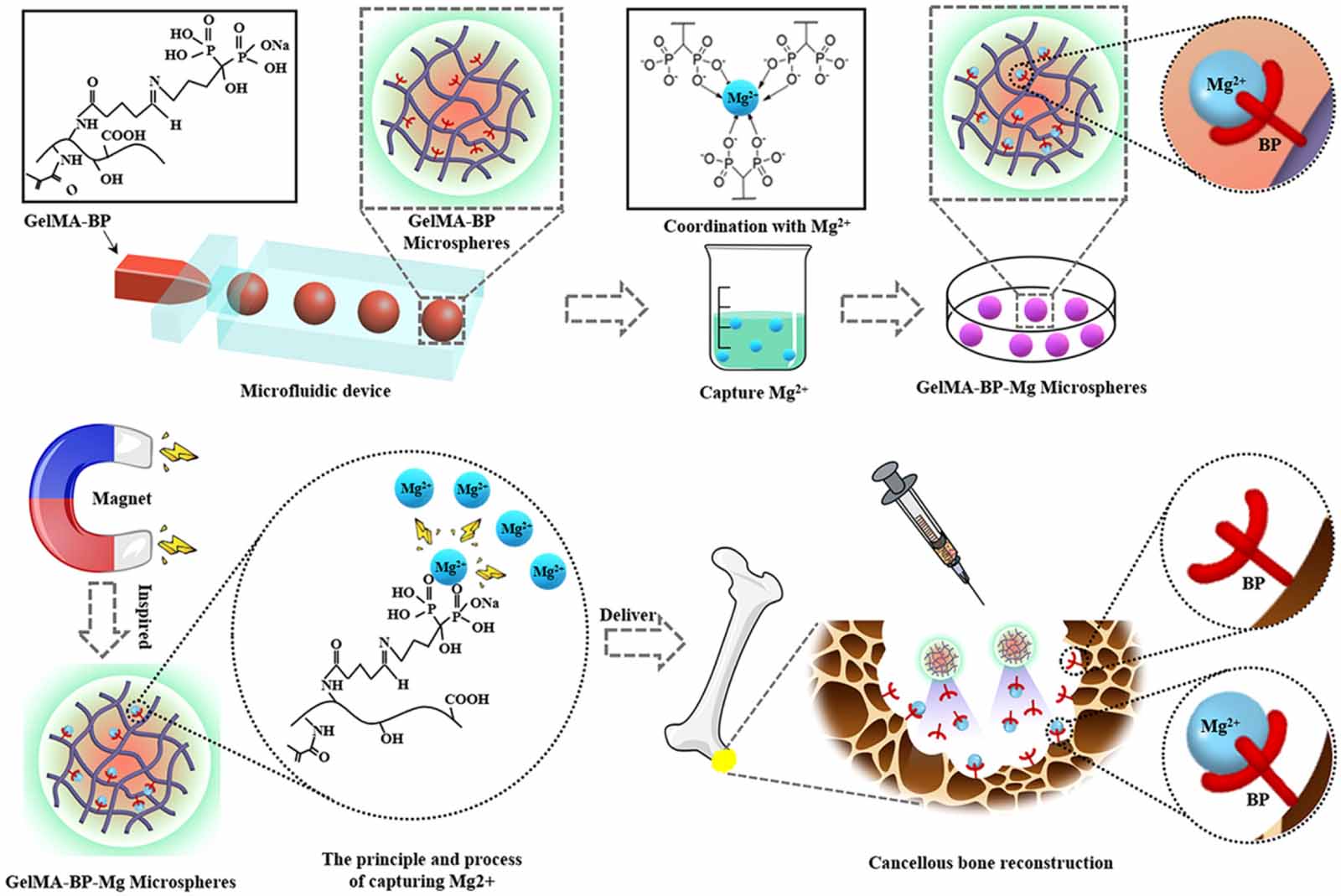 Biomaterials for microfluidic technology