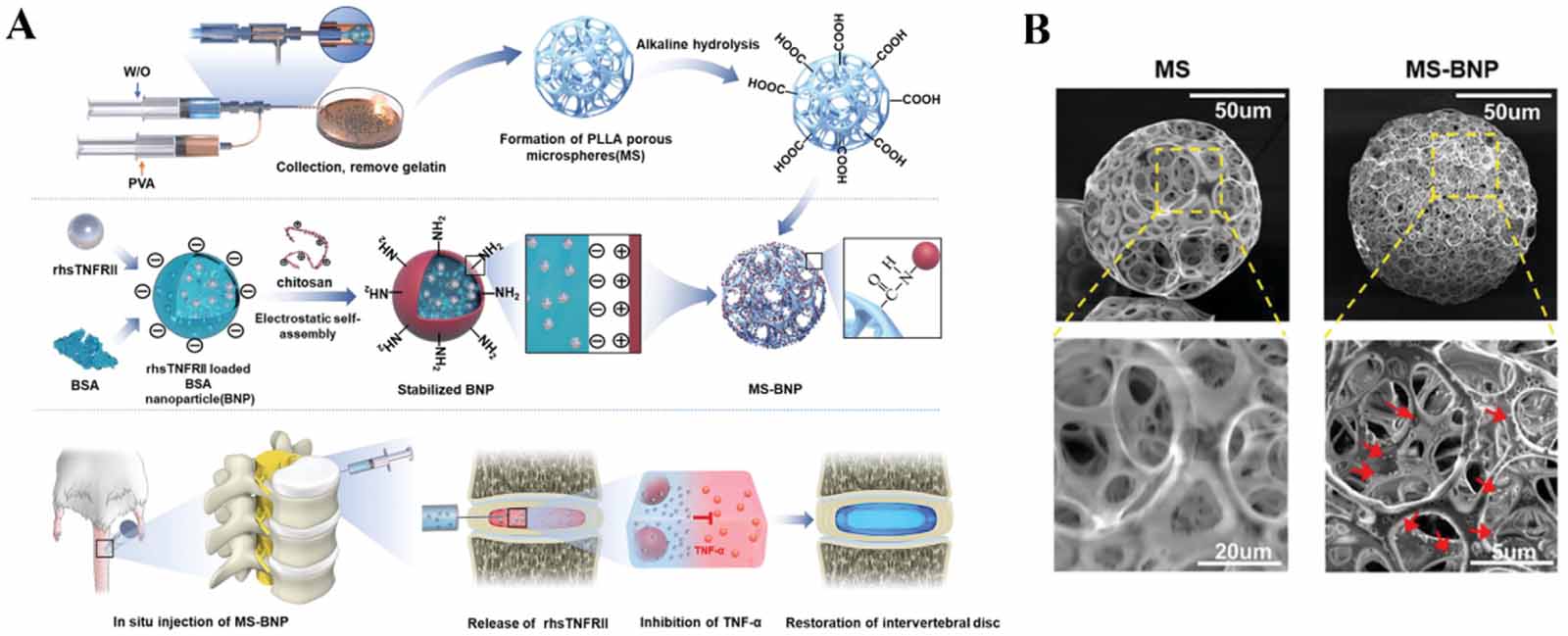 Biomaterials for microfluidic technology