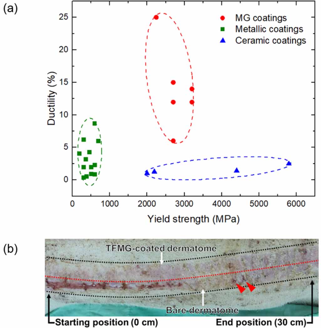 Recent development of chemically complex metallic glasses: from ...
