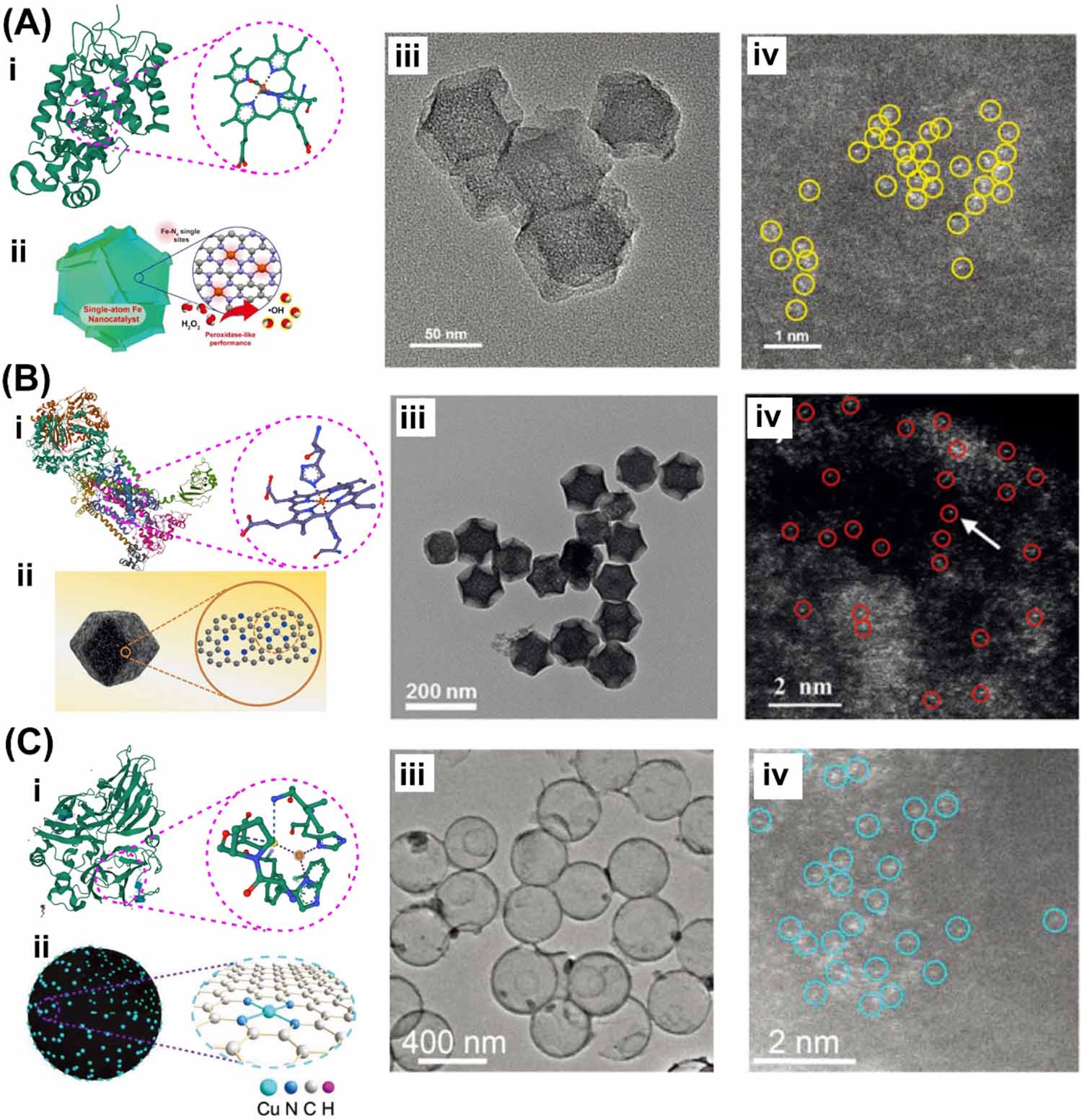 下载: 全尺寸图片 幻灯片