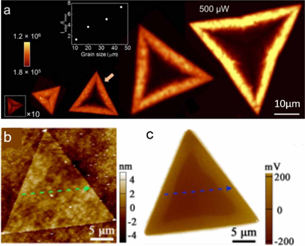 Advanced atomic force microscopies and their applications in two ...