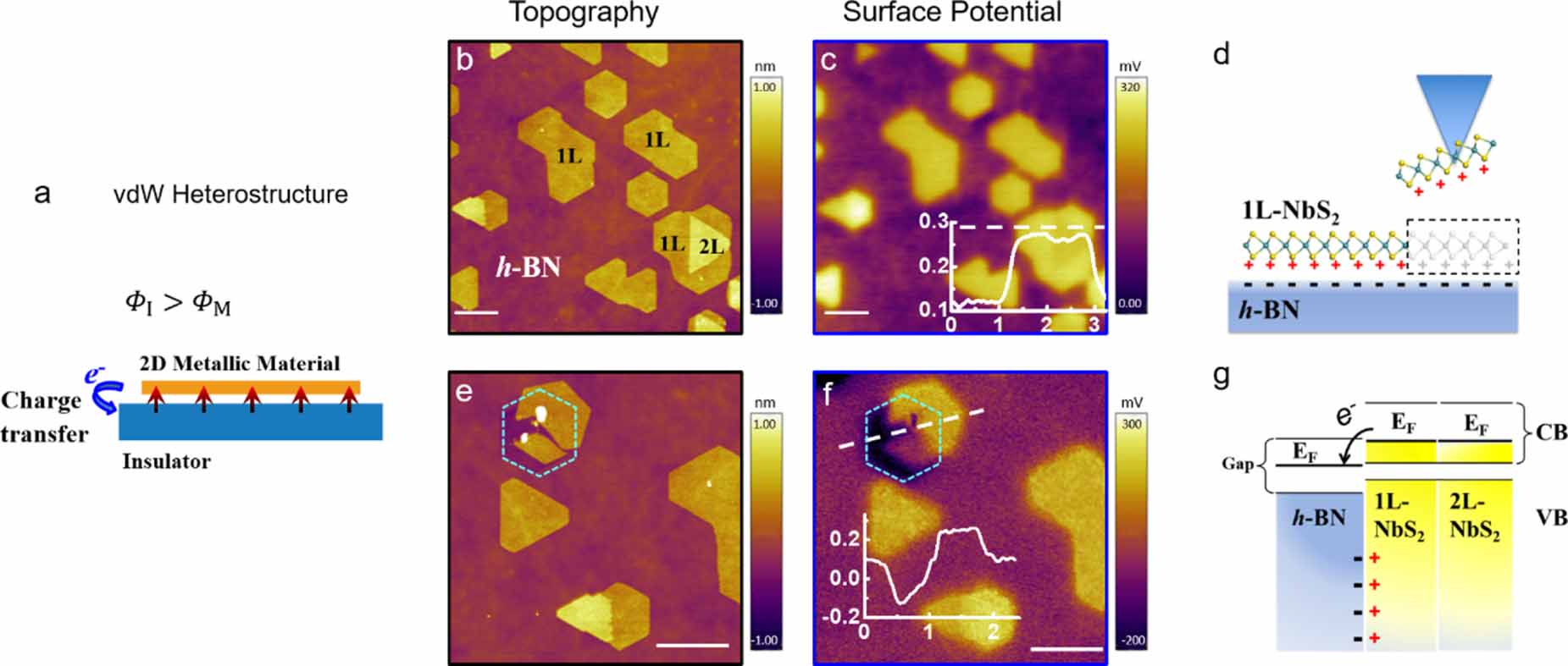 Advanced atomic force microscopies and their applications in two ...