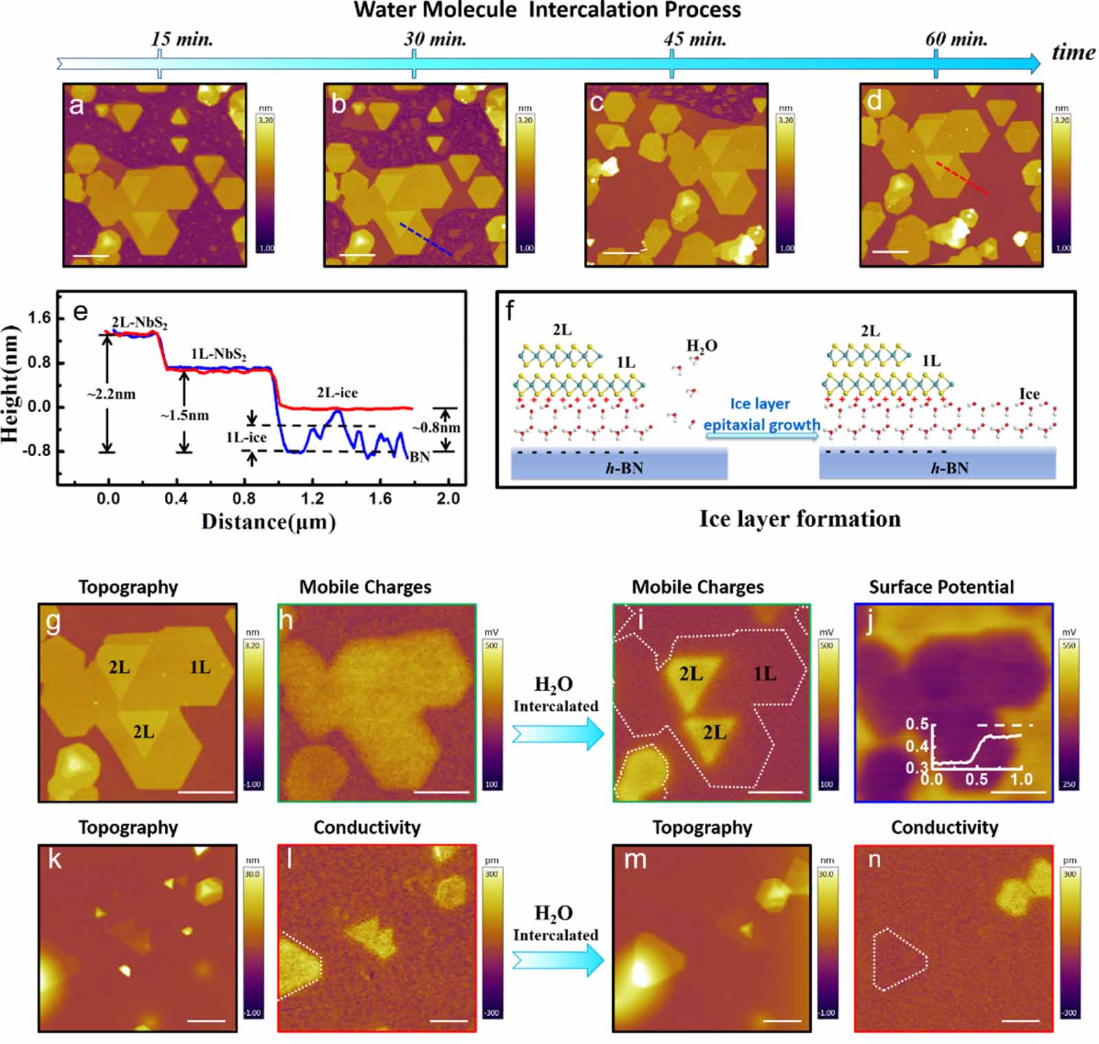 Advanced atomic force microscopies and their applications in two ...