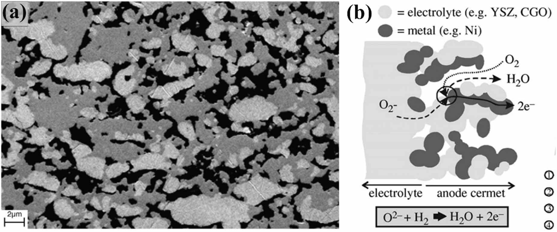 下载: 全尺寸图片 幻灯片