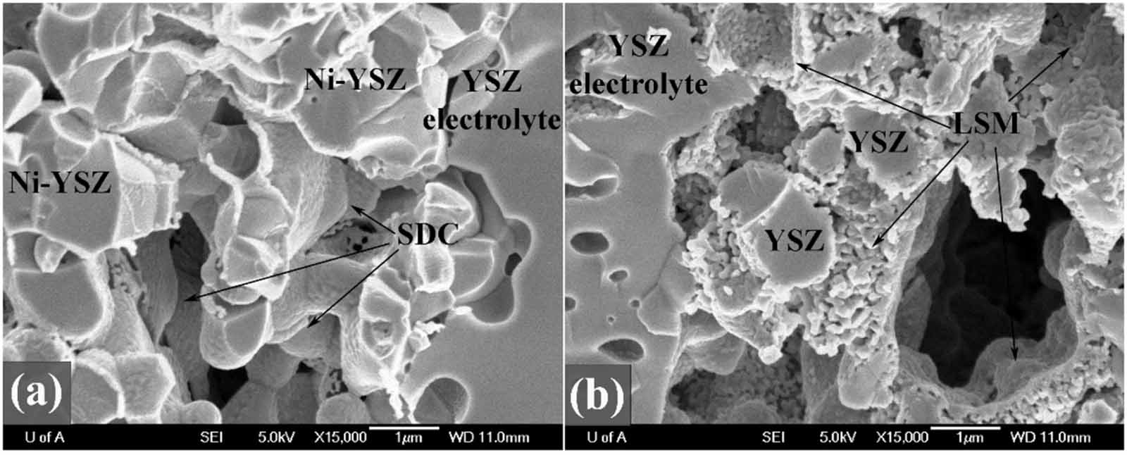 Figure 9. (a) Ni-YSZ coverage by SDC near the interface of the fuel ...