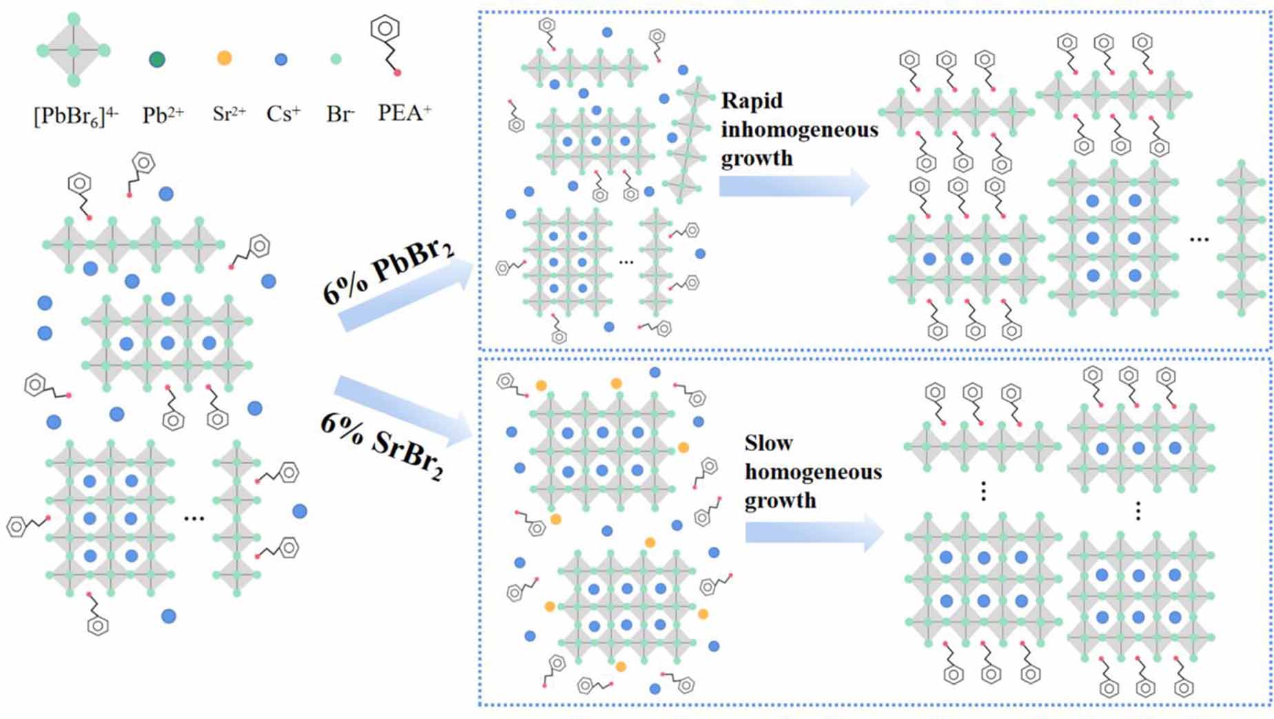 Figure 2. Schematic diagram of the impacts of PbBr 2 and SrBr 2 on the ...
