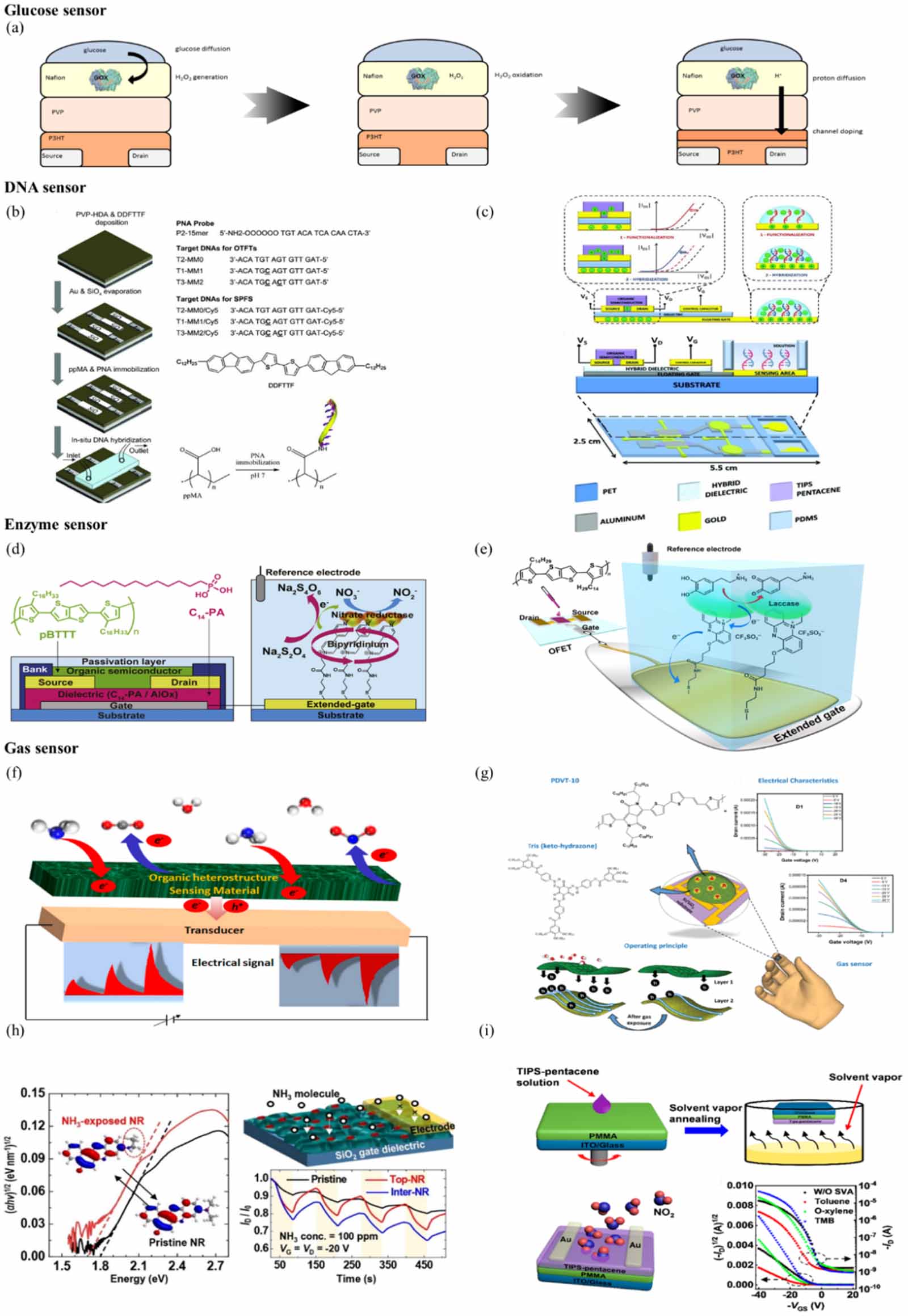 Expanding the potential of biosensors: a review on organic field effect ...