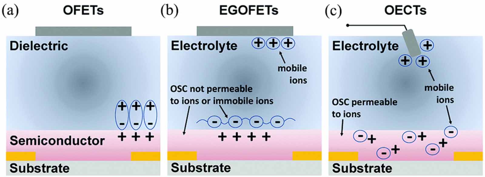 Expanding the potential of biosensors: a review on organic field effect ...