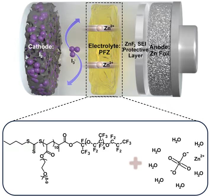 Enhancing performance and longevity of solid-state zinc-iodine batteries with fluorine-rich ...
